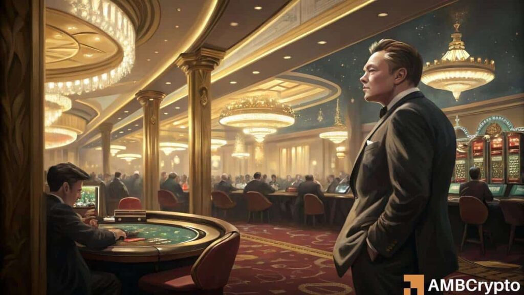 HARRY BOLZ crypto tokens dumps after Elon Musk changes his X profile ...